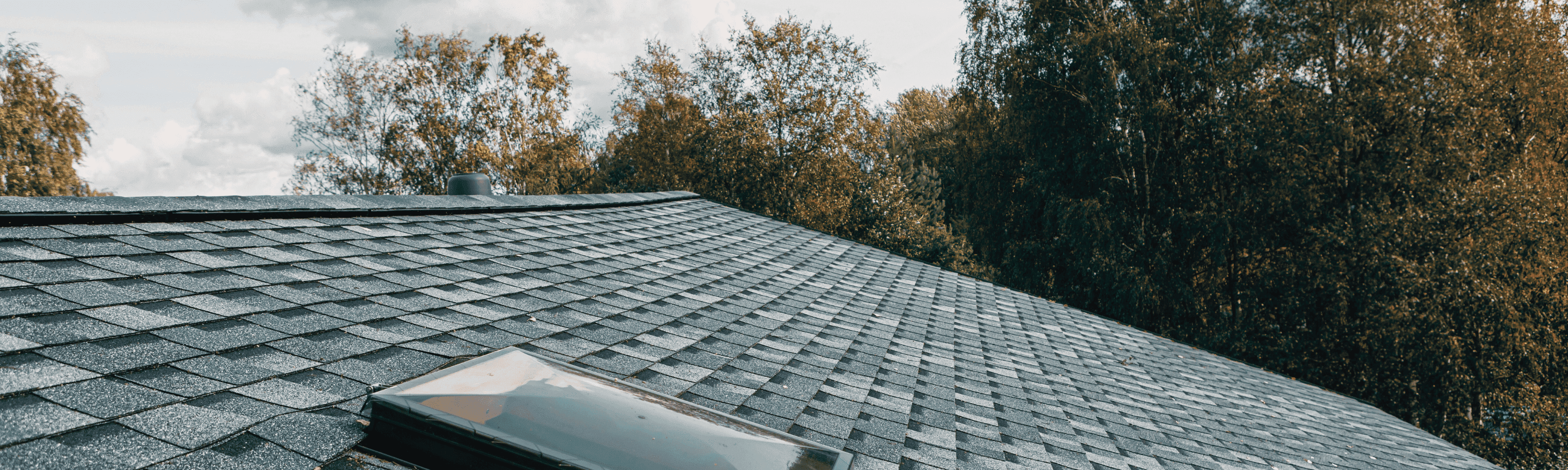 Flat Roof 101- Common Issues and Expert Advice from a Home Inspector