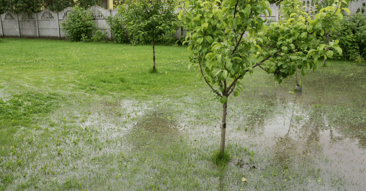 How to Protect Your Home from Common Water Drainage Problems and Avoid ...