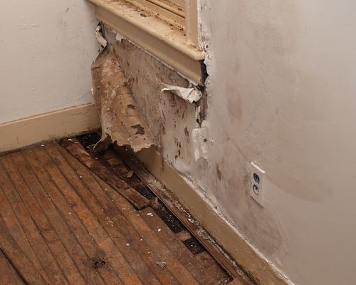 Ways to spot, prevent water damage, wood rot